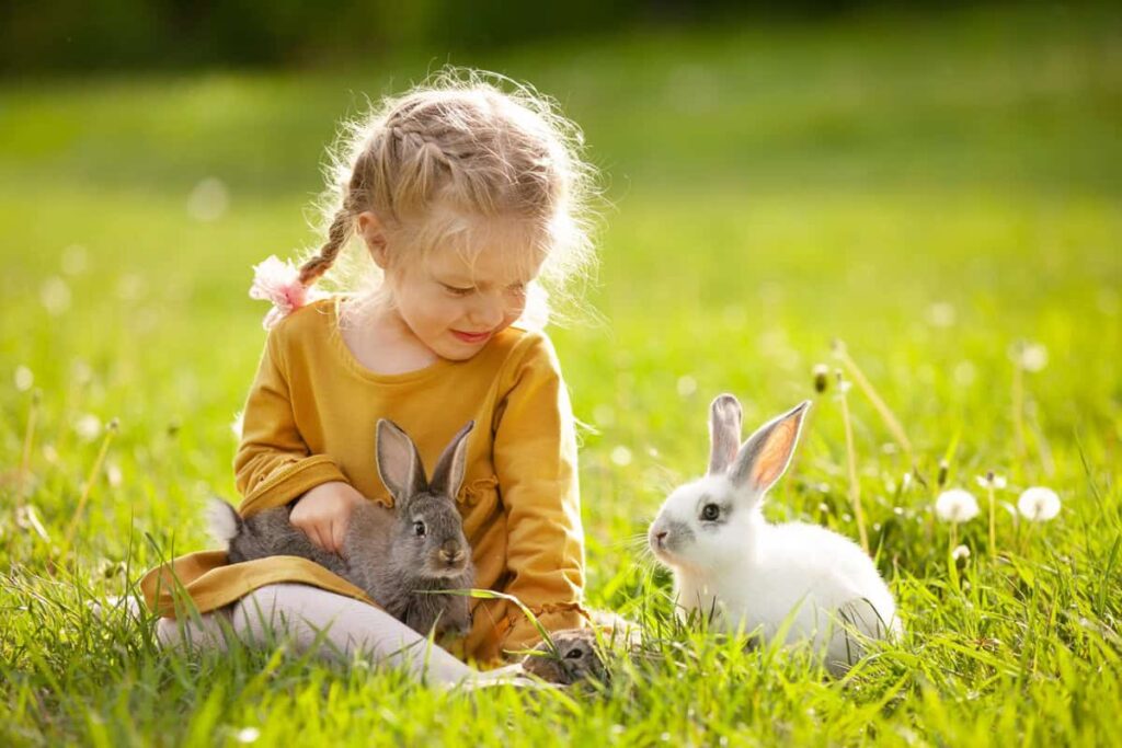 Les races de lapin nain : guide complet et descriptif - Animal Favori